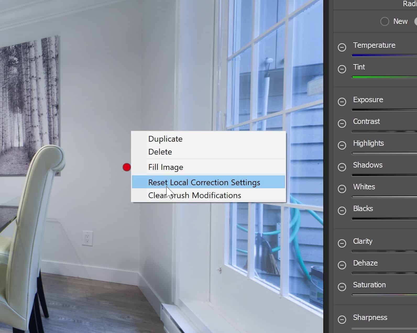How to Even Out White Balance and Exposure in Camera Raw and Lightroom ...